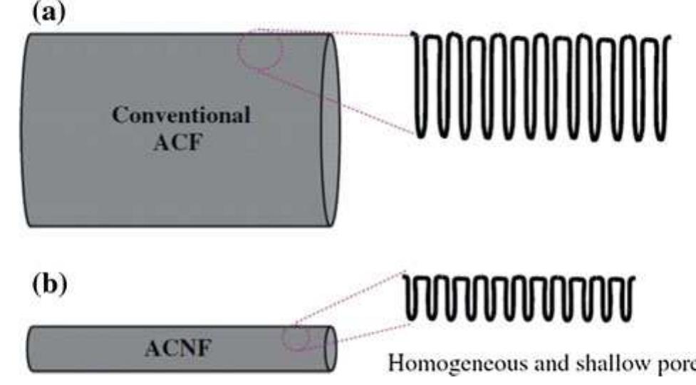 Schematic diagram of pore structure of a conventional thick