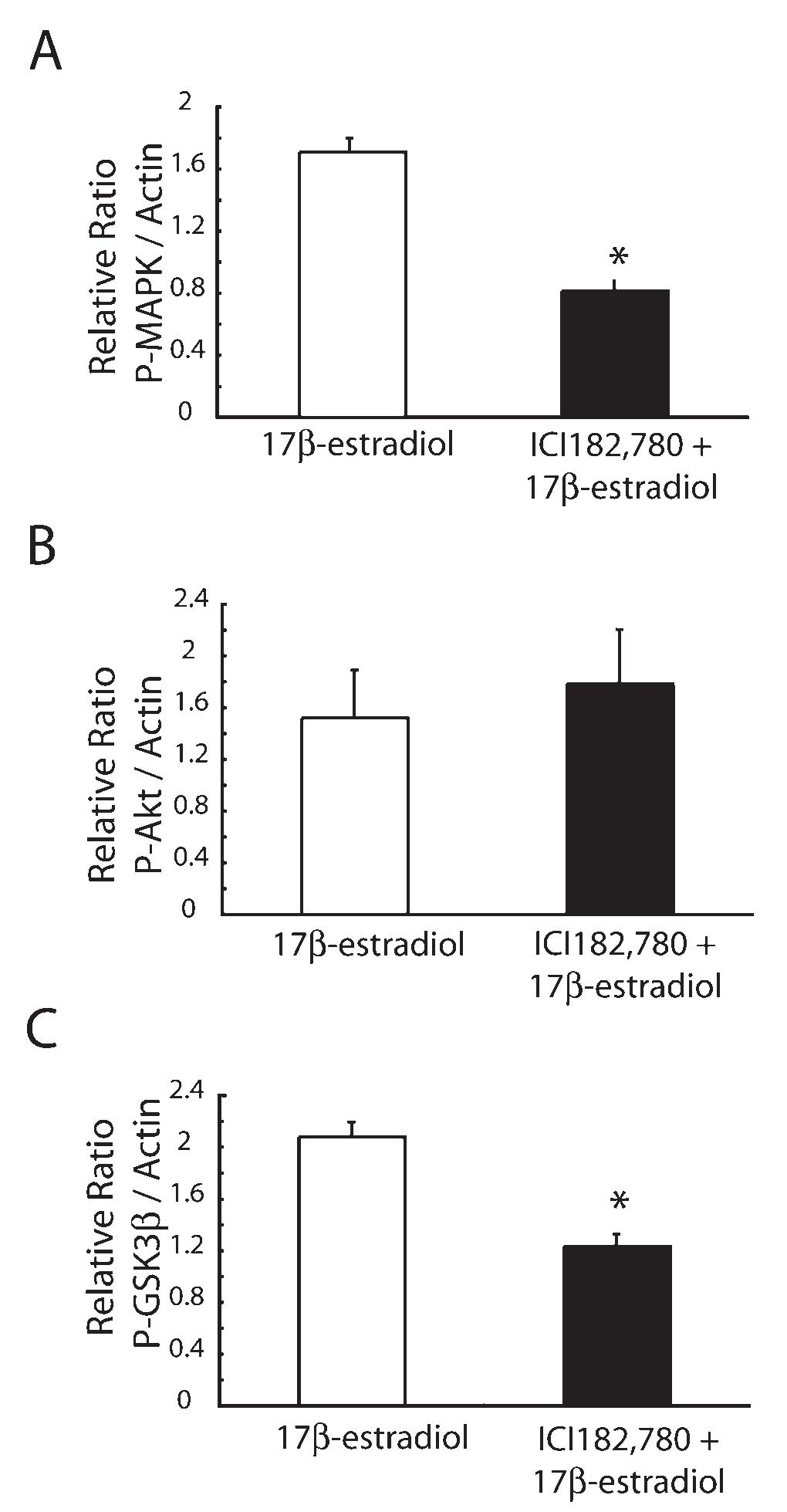 17®-estradiol-induced activation of mapk and gsk-38 path-
