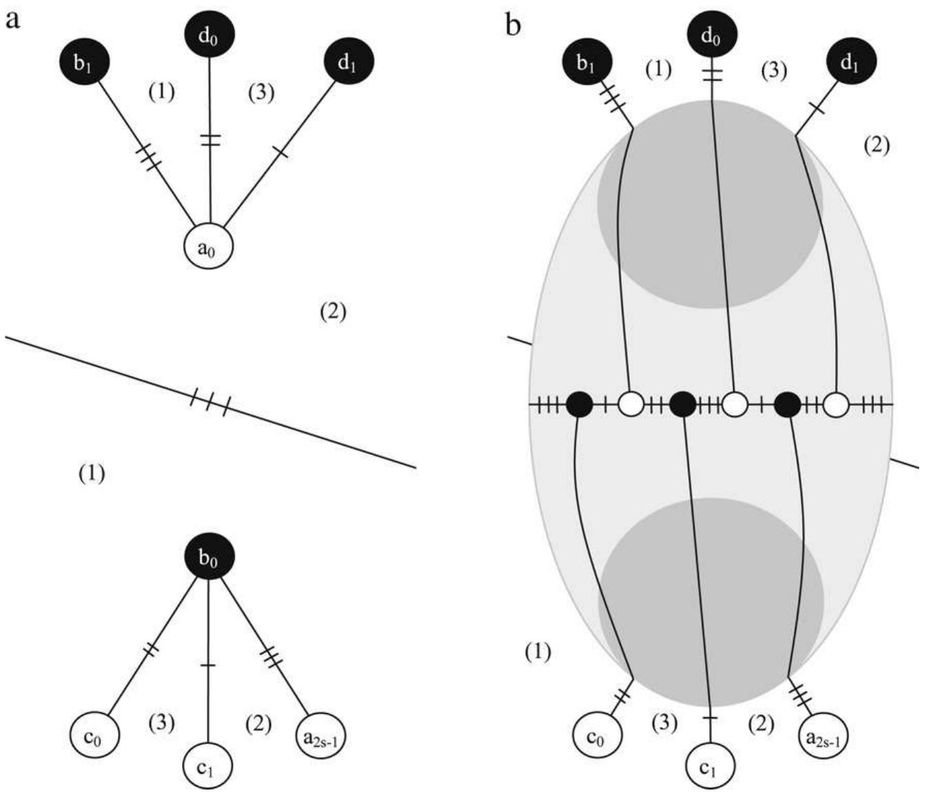 Surgical modification of fig. 12 for (4s + 2)-uniform 3-maps