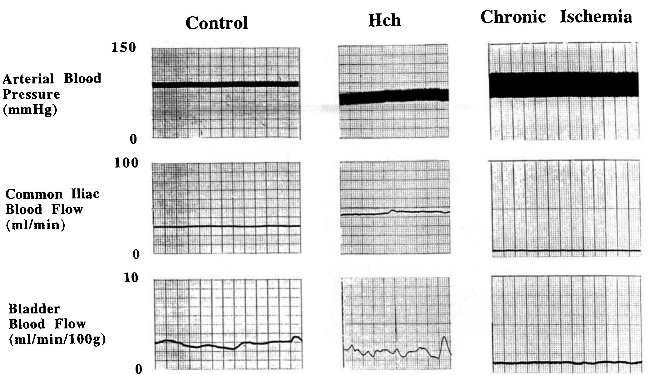 Fic. 2. arterial blood pressure, iliac artery blood flow and