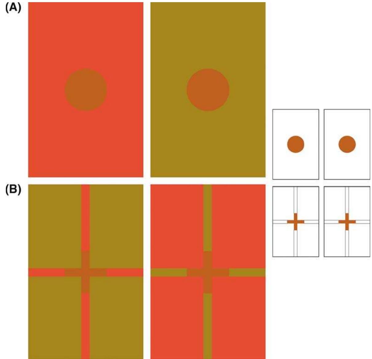 (PDF) The empirical basis of color perception