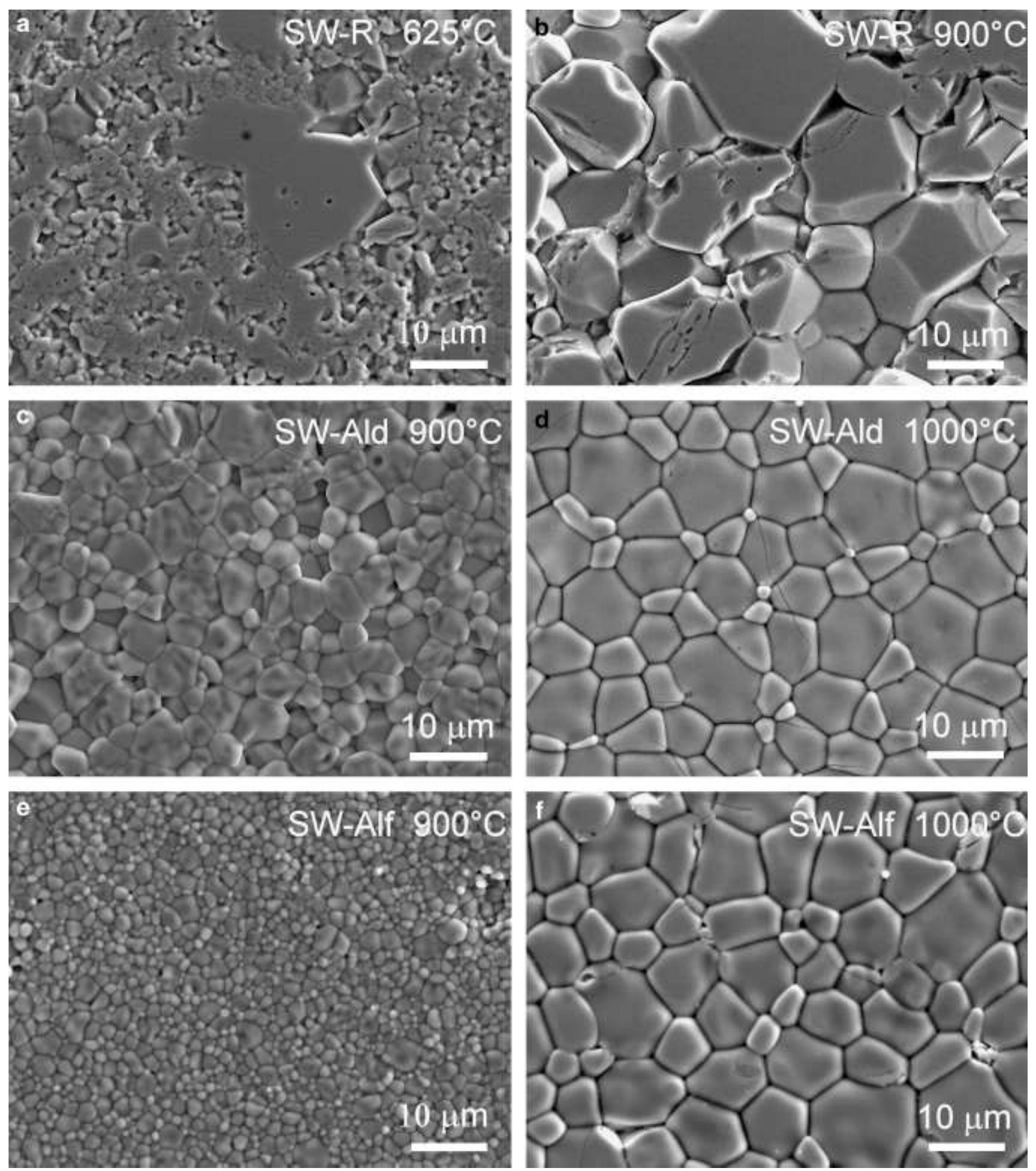 Scanning electron microscope micrographs of thermally etched