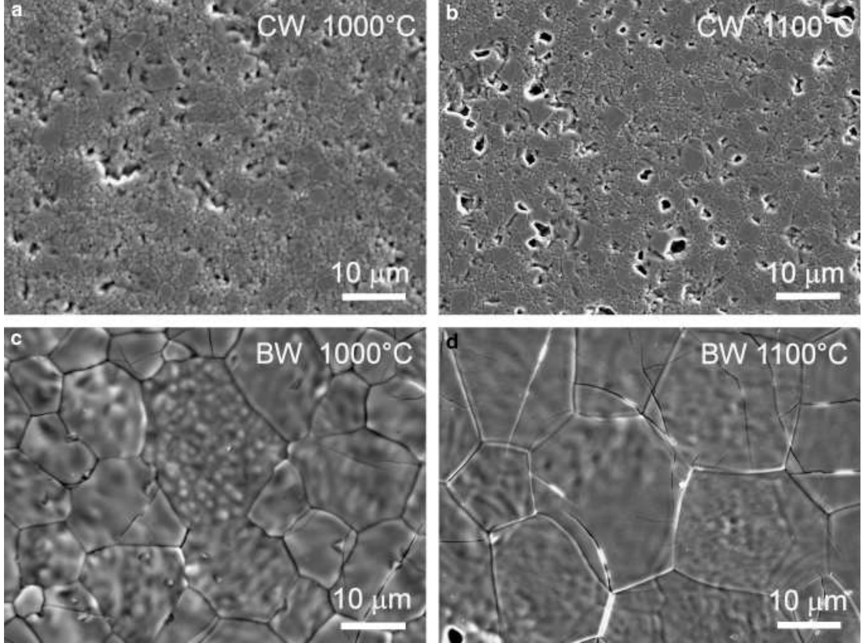 Scanning electron microscope micrographs of thermally etched