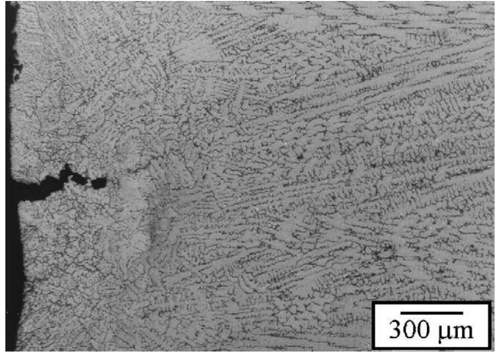 Light microscopic micrograph of a hot tear in the equiaxed