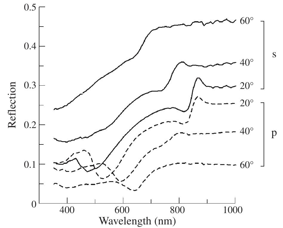 Measured optical reflectance spectra of 30 nm thick nanocor-