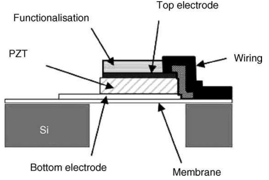 Schematic sensor layout. a schematic cross section of a