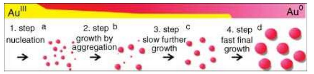 Schematic diagram of au particle formation by reduction