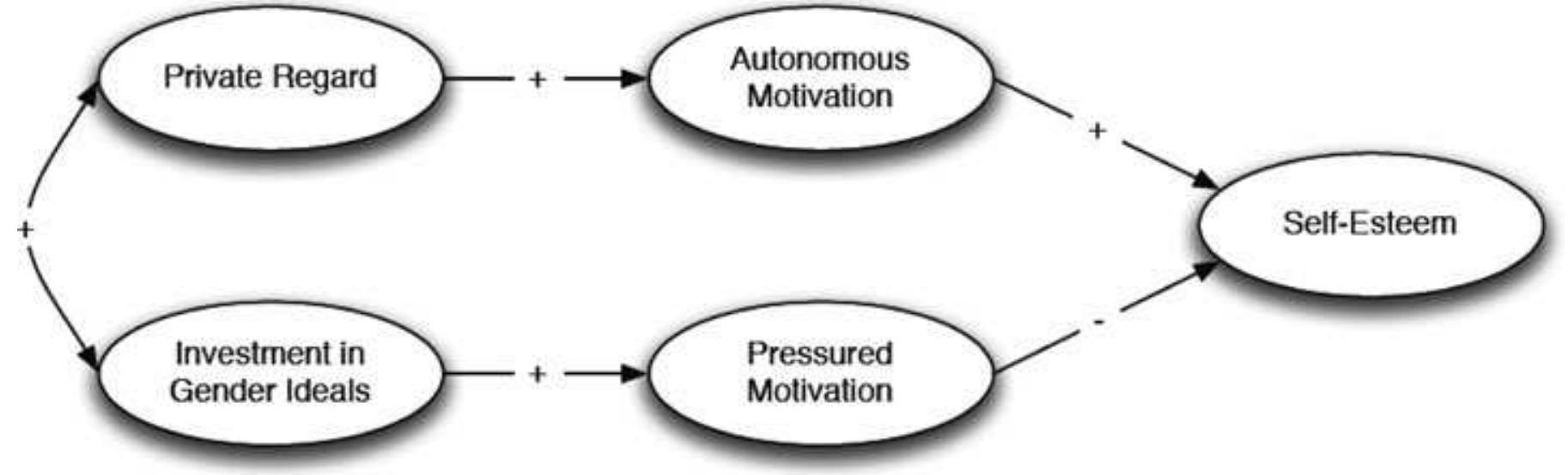 Hypothesized model for gender conforming behavior.