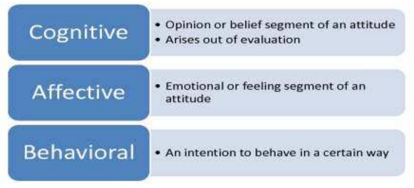 - components of attitude, adapted from robbins and j udge