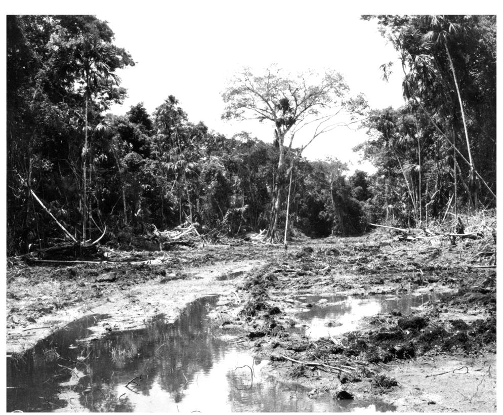 1 - wet waterlogged soils after a rain (ca. 1966) where a