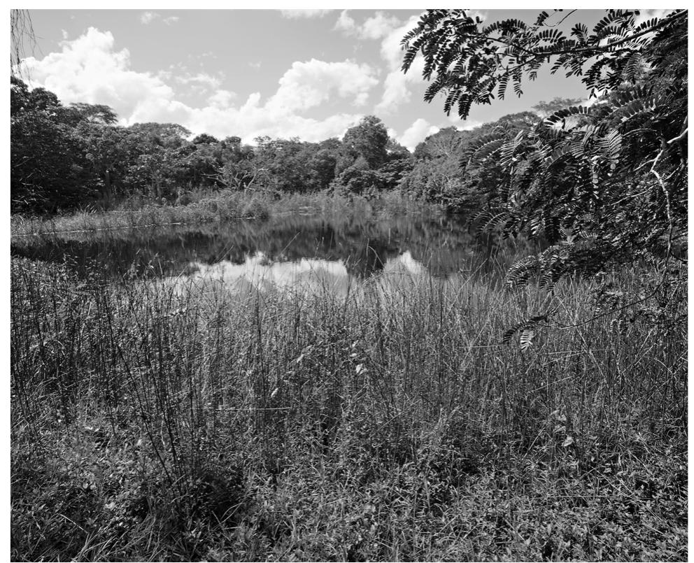 The following aguadas/reservoirs are marked on the sur- vey