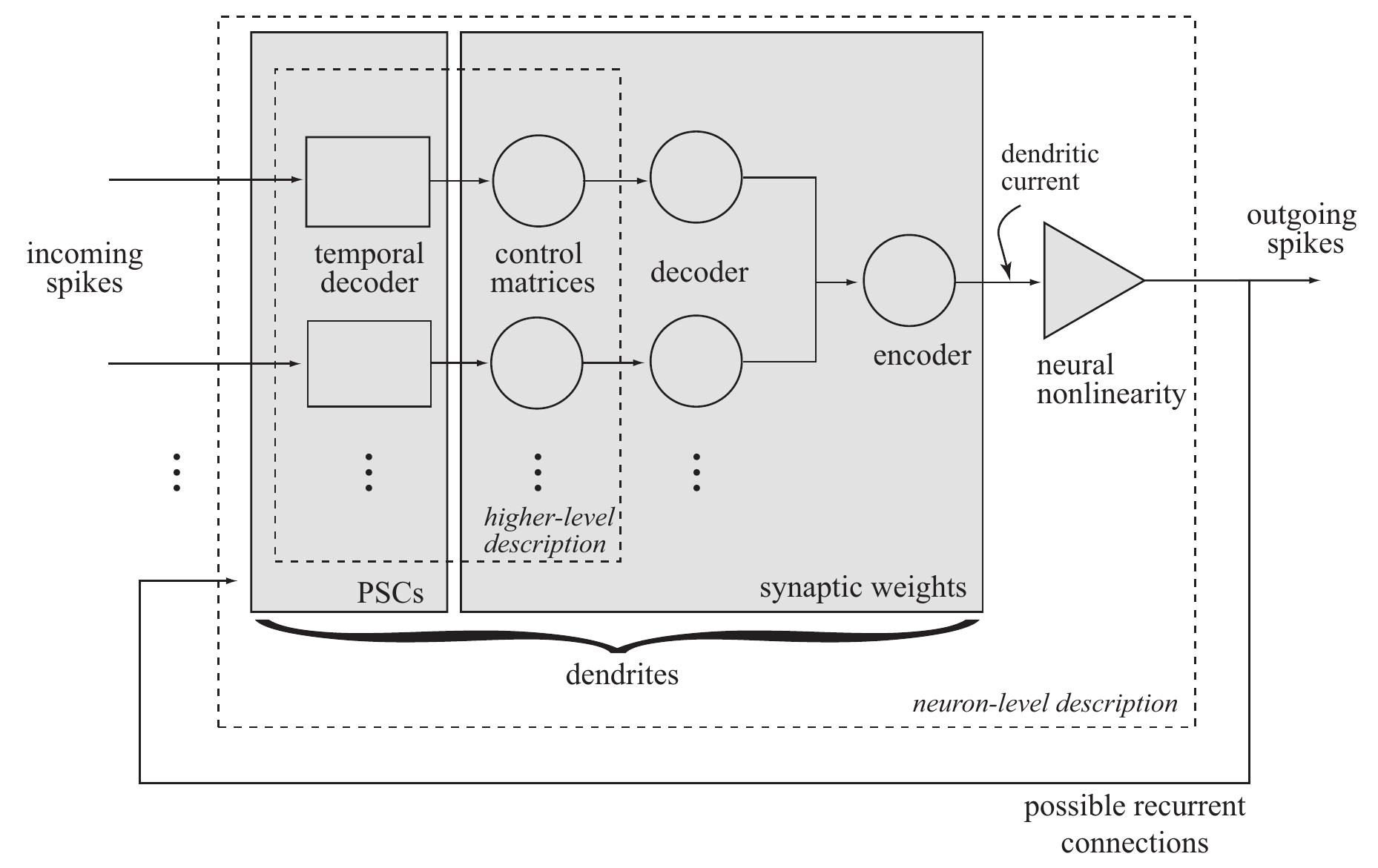 Gure 4: a generic neural subsystem (adapted from eliasmith