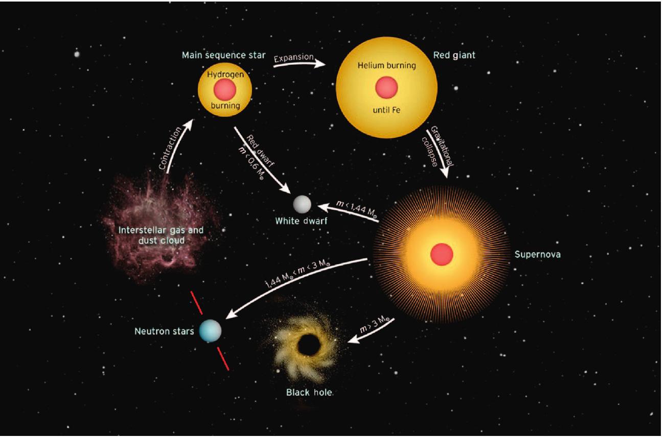 3 the life cycle of stars with a similar or larger mass as