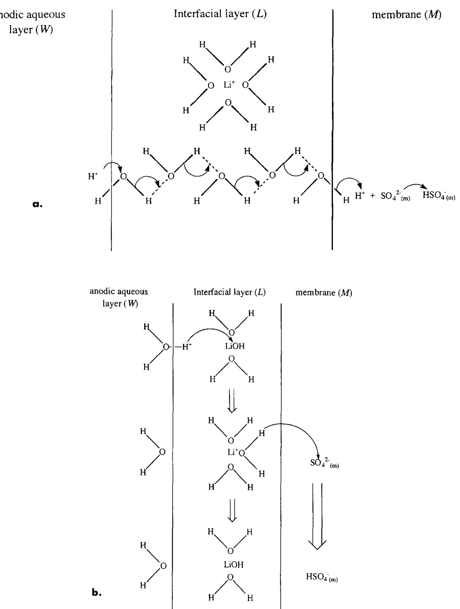 Schematic representation of the proton transport through the