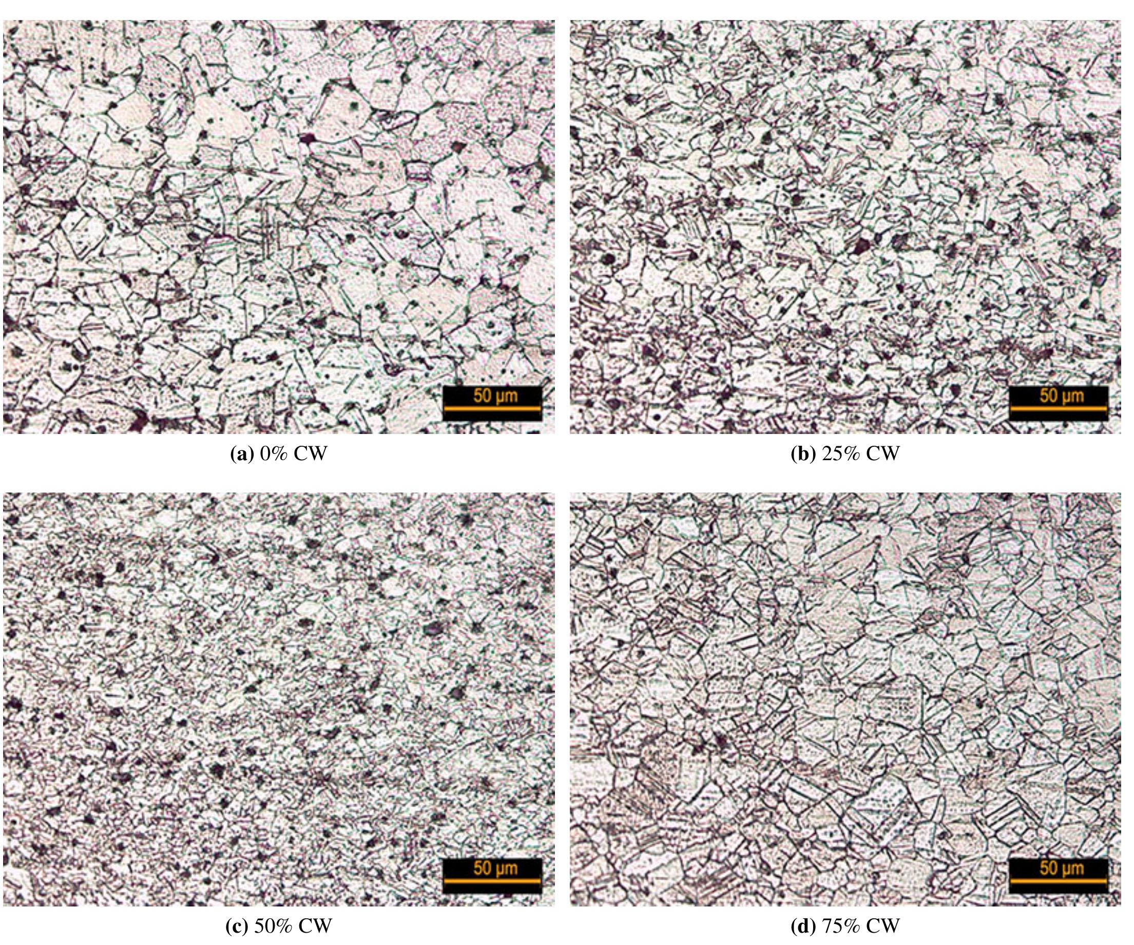 Microstructure of cartridge brass annealed for 60 min at
