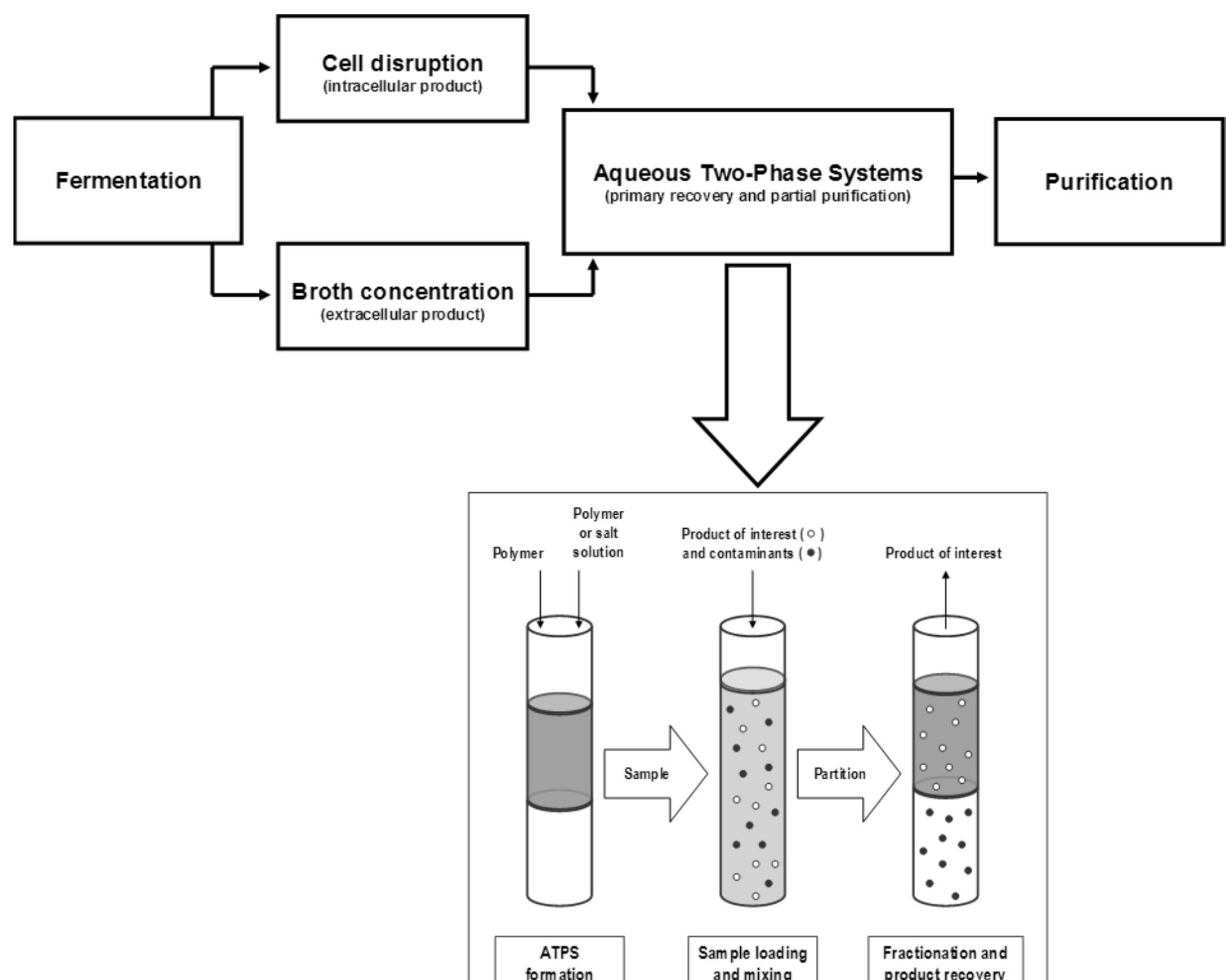 Simplified representation of the fractionation of