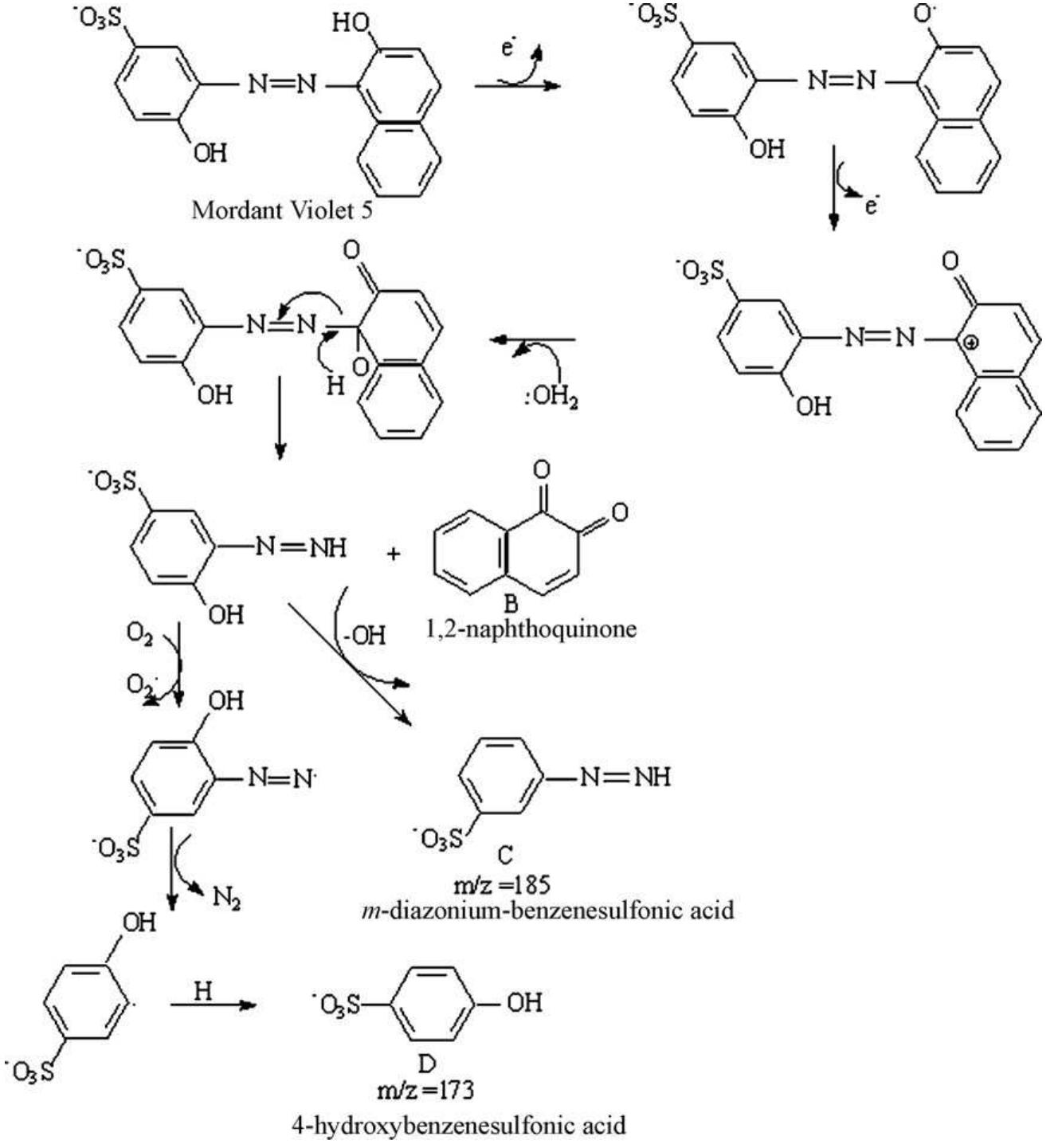 The second fungal degradation pathway proposed for mordant