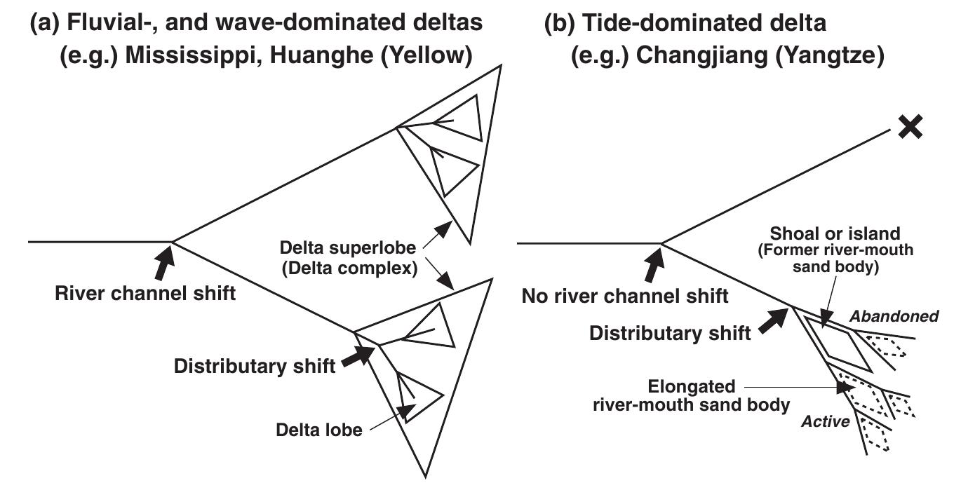 10 schematic illustration of delta switching. (a)