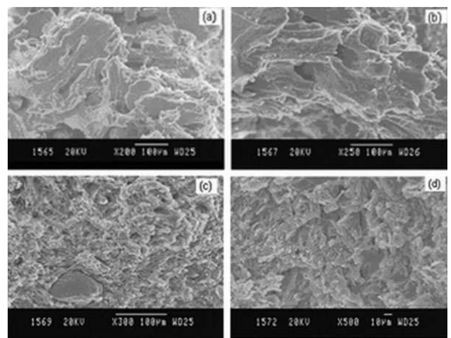 Sem photographs showing impact fractured blend specimens (a)