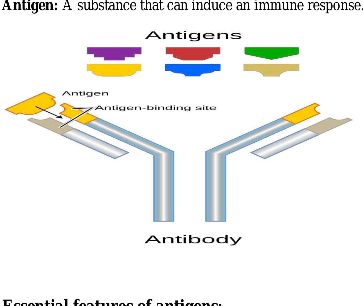 Figure 1 - Immunology Lecture Notes: Antigens