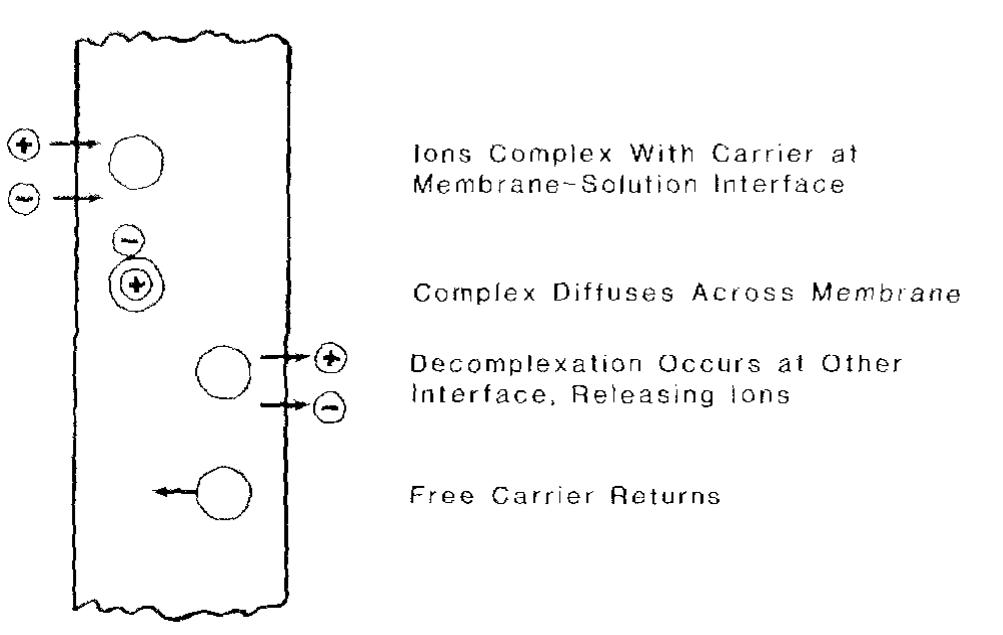 The mechanism of ion transport across a membrane with a