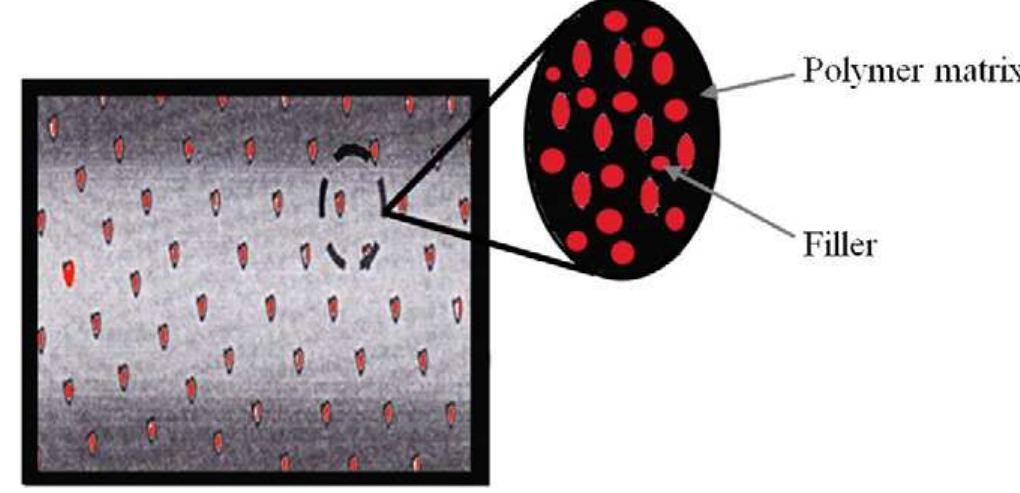 Schematic diagram of mixed matrix membrane.