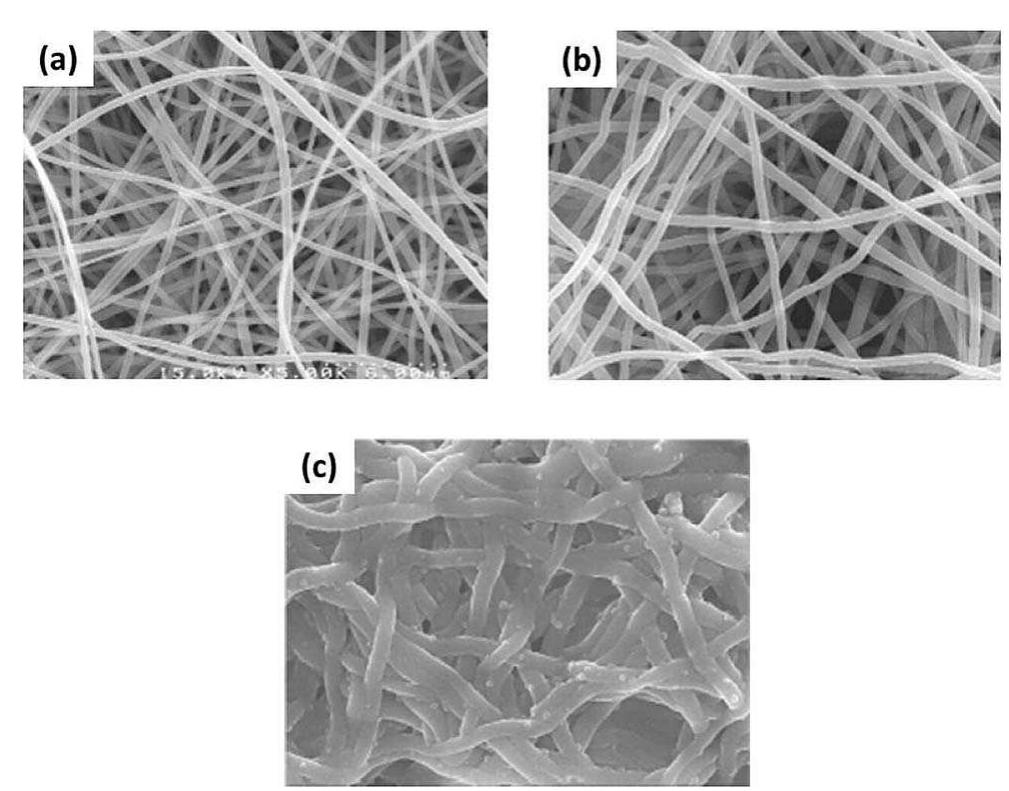 Sem images of electrospun pan nanofiber mats: (a) pristine