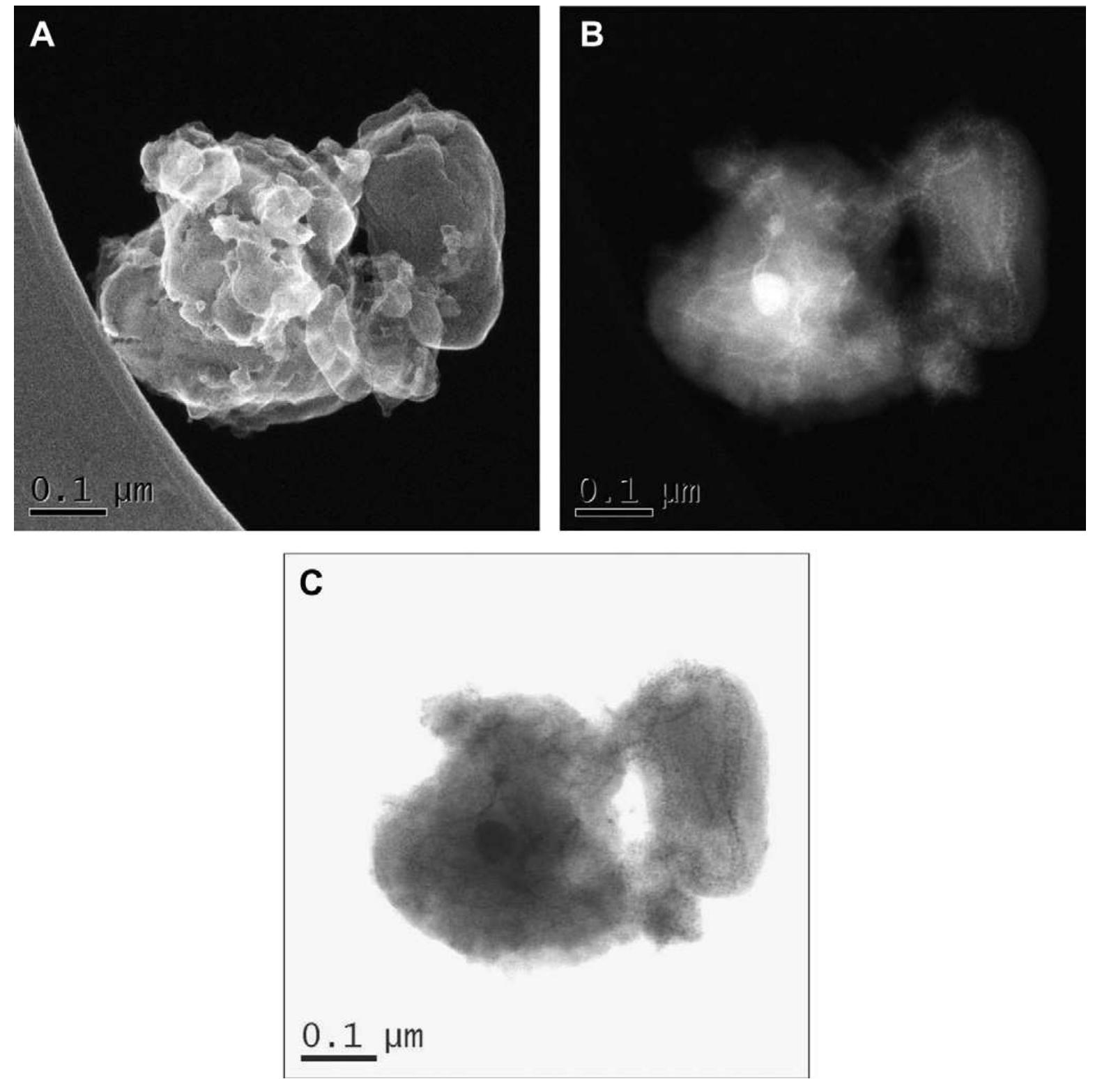 stem images showing the microstructure of a synthesized