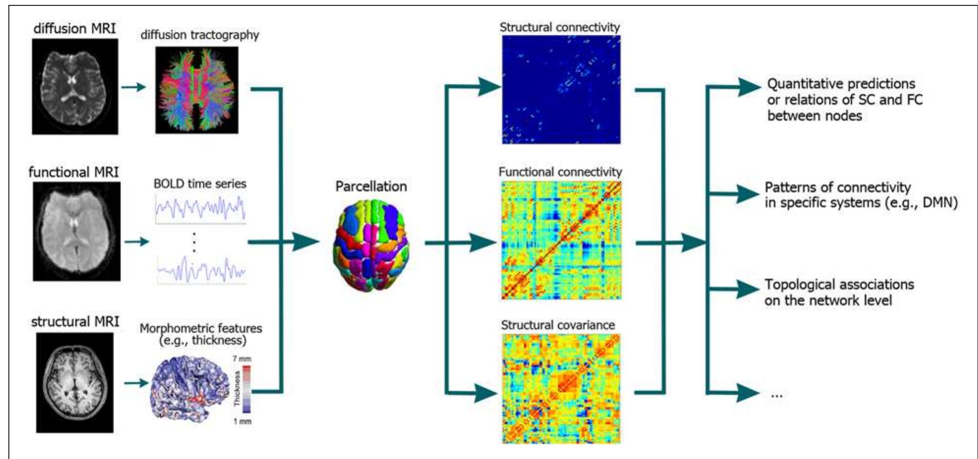 |. a flowchart for constructing large-scale brain networks