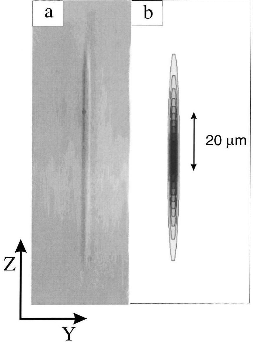 (a) optical microscope image of the exit face of a wave-