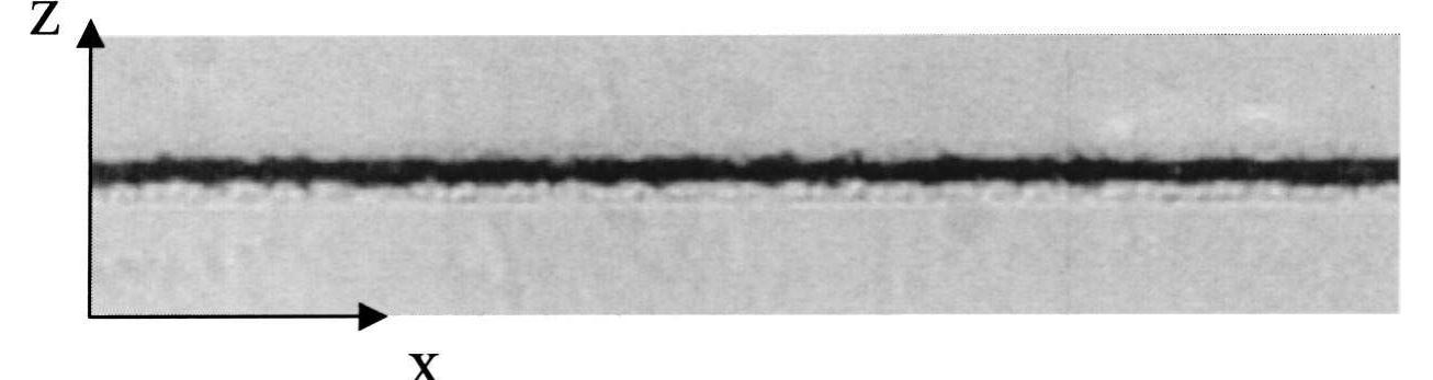 Optical microscope image, in the xy plane, of a waveguide