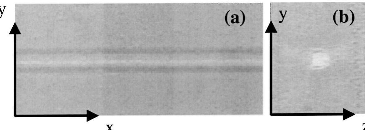 Optical microscope image, in the xy and yz planes, of a