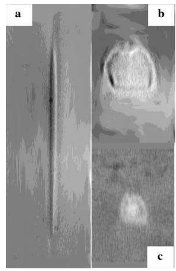 Optical microscope images of the exit face of waveguides