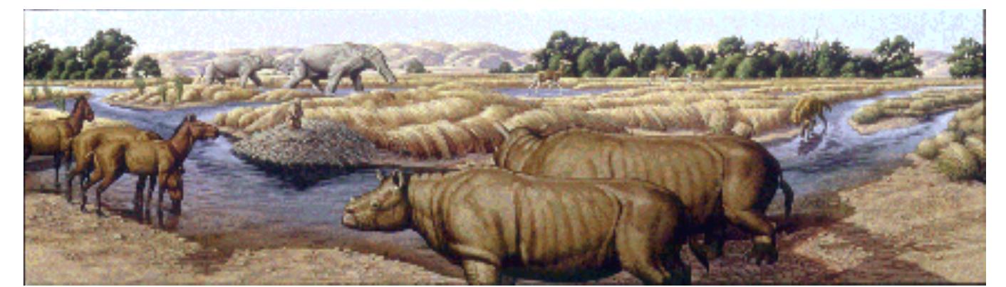 Figure 74 - Abu Dhabi 8 Million Years Ago - Late Miocene
