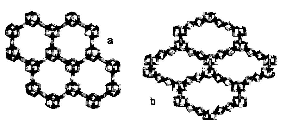 The structure of the microporous sheets af twa members af
