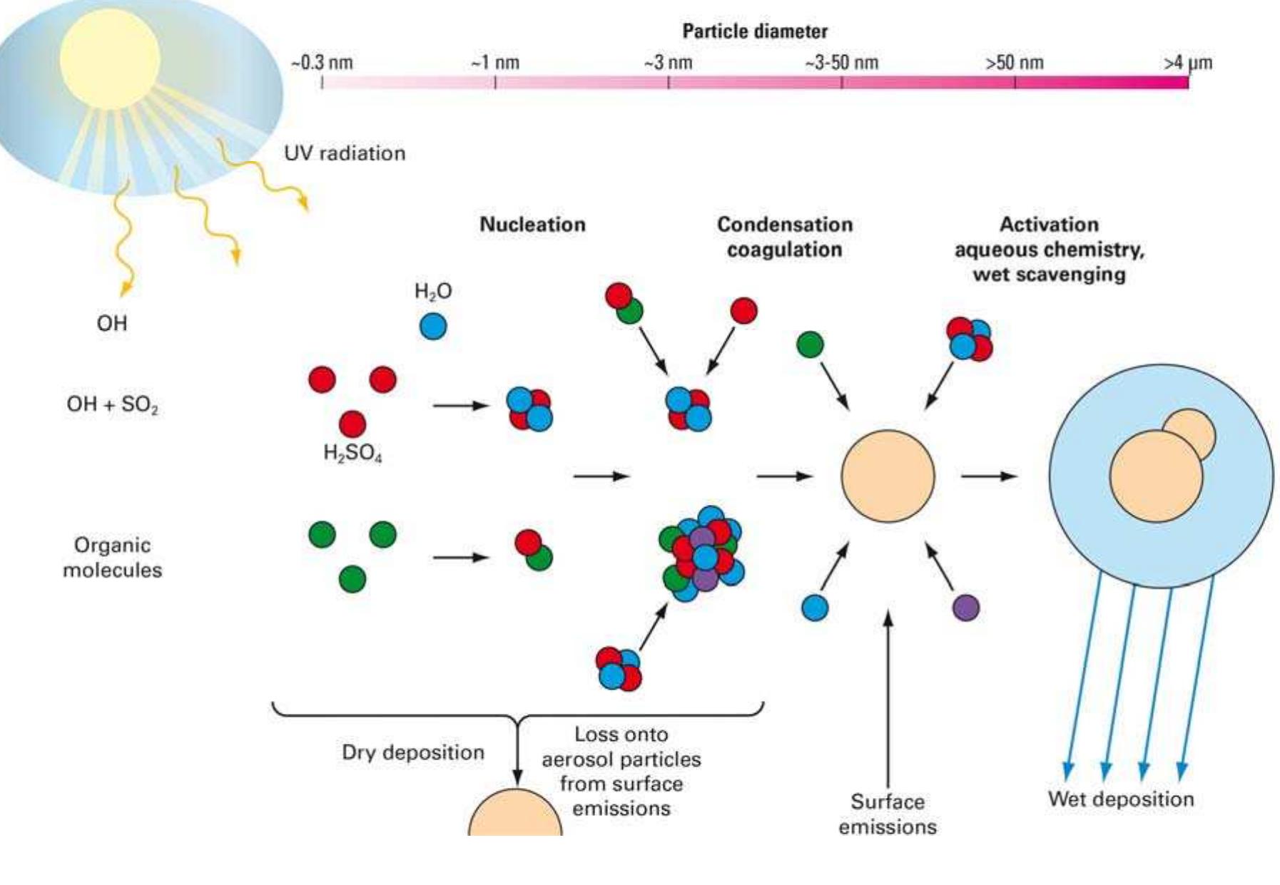 Diagram showing the main aerosol processes and tendency of