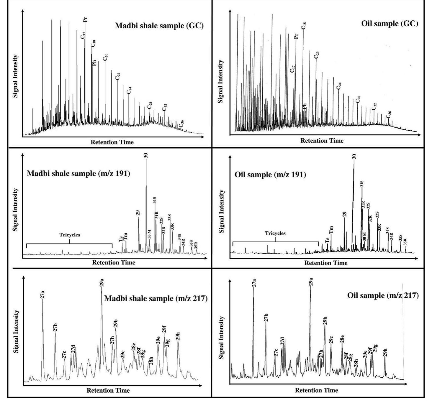 Gas chromatography traces and m/z 191, m/z 217 mass