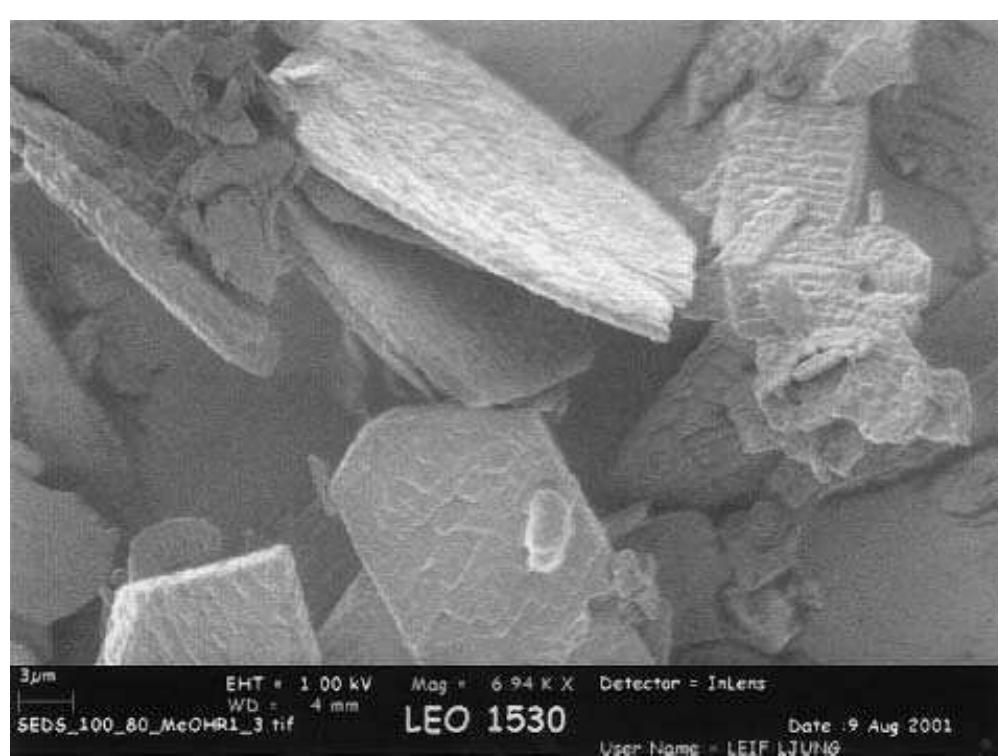 Scanning electron microscopy picture of solution enhanced