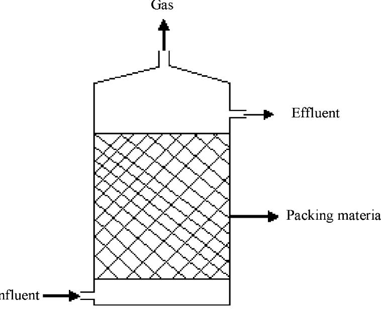 Schematic diagram of anaerobic fixed film reactor.