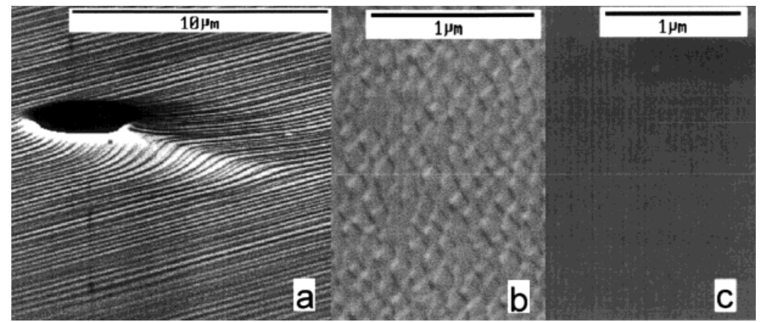 Sem pictures of epitaxial grown sic surfaces. a) macrosteps