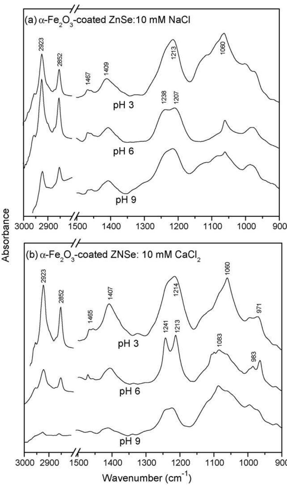 Figure 5 - from ATR-FTIR study of lipopolysaccharides at