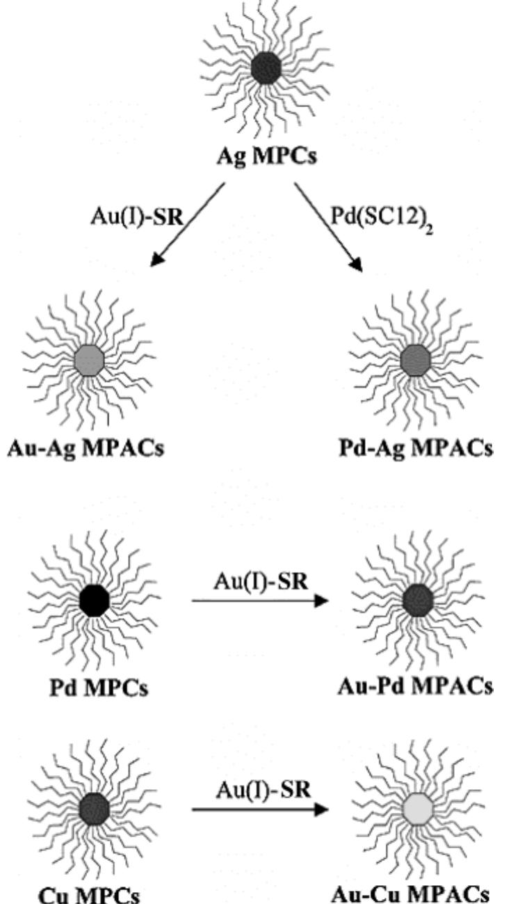 Cartoon diagram of core metal galvanic exchange reactions.