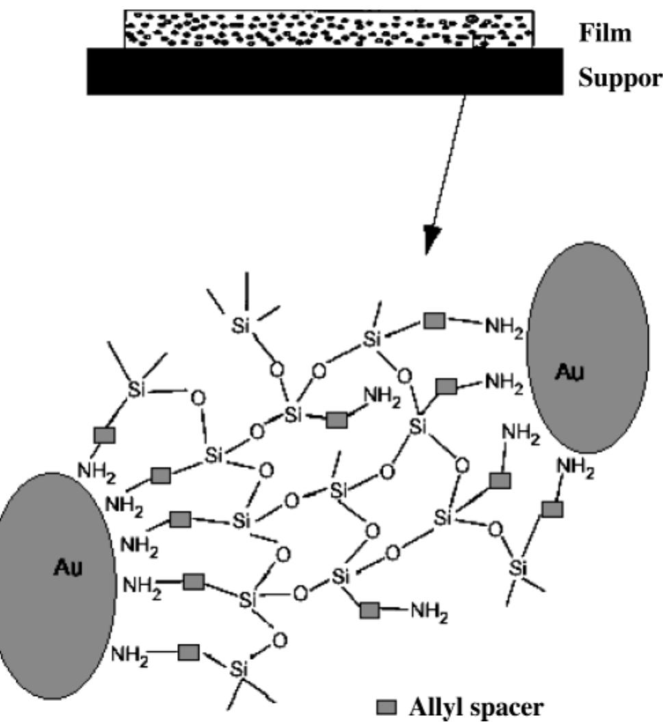 Schematic illustration of aunps in a silicate matrix.