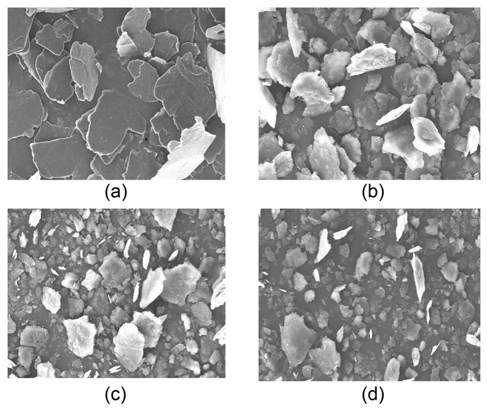 Scanning electron microscope images of flake graphites: