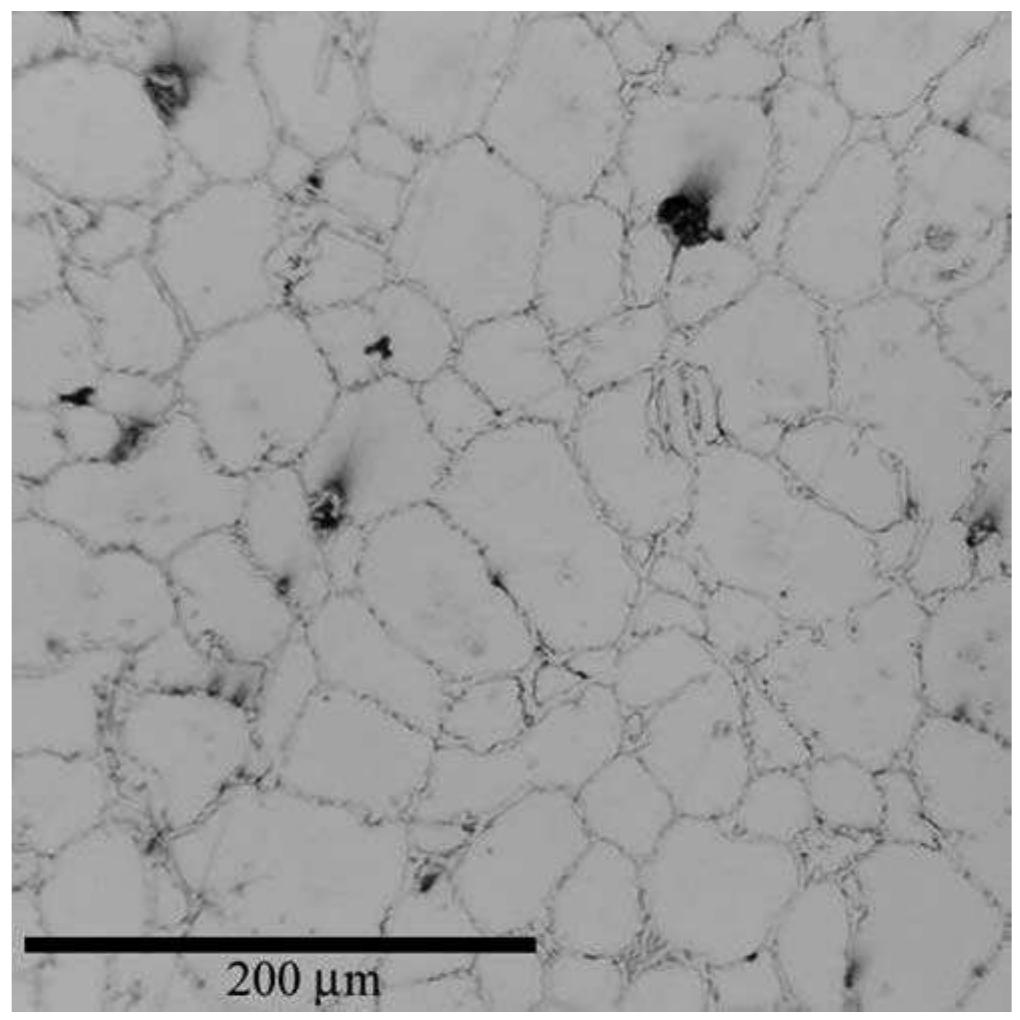 —the microstructure of the as-infiltrated d2 sample with a