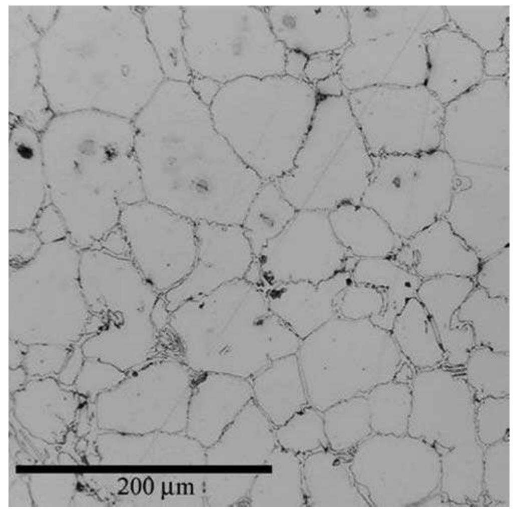 —the microstructure of the as-infiltrated d2 samples with a