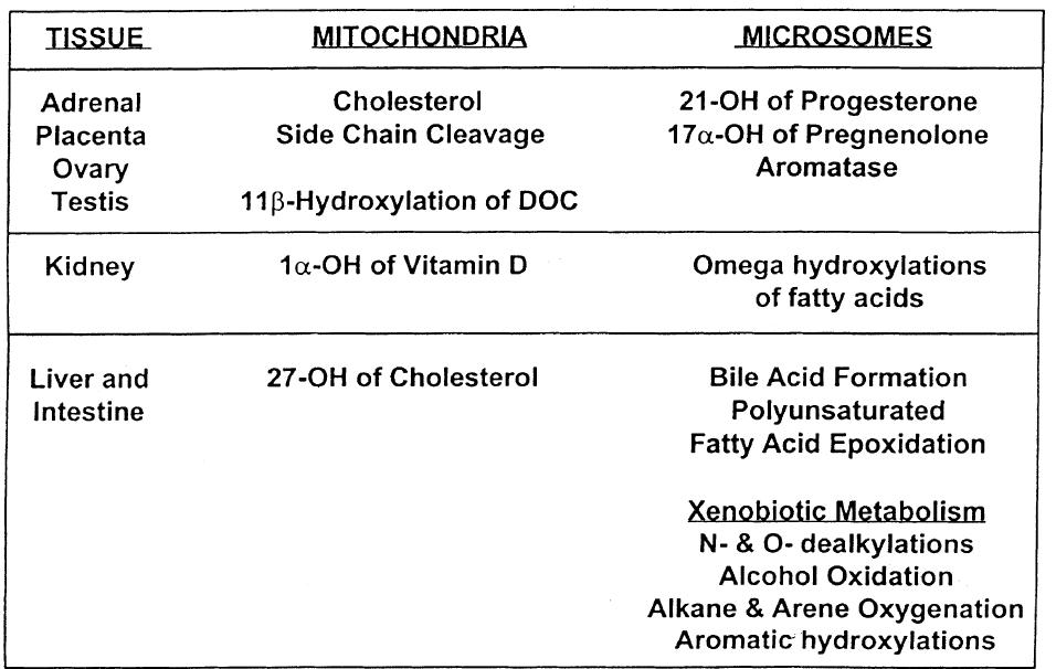 Examples of types of p450 reactions catalyzed in humans and