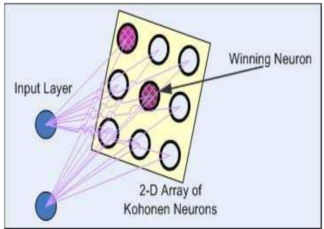 Network architecture—kohonen som: several kohonen som models