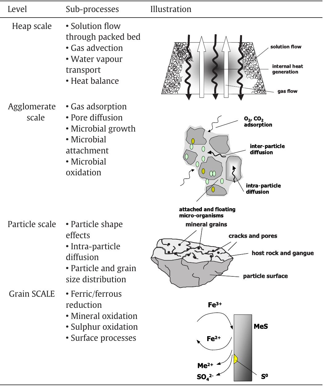 Schematic representation of sub-processes in heap