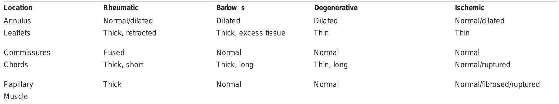 Types of lesions encountered according to mitral valve